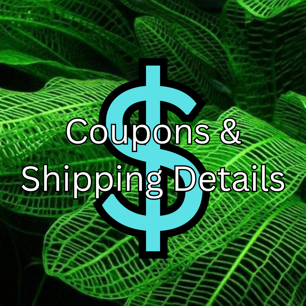 Welcome to Shoal – Father Fish Aquarium