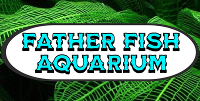 Welcome to Shoal – Father Fish Aquarium
