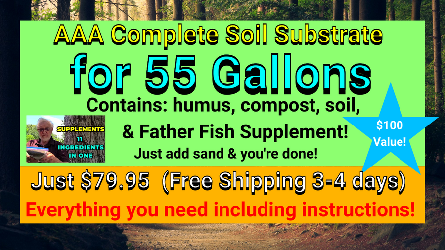 Products – Father Fish Aquarium