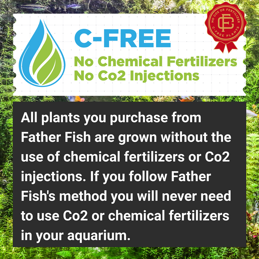 Products – Page 5 – Father Fish Aquarium