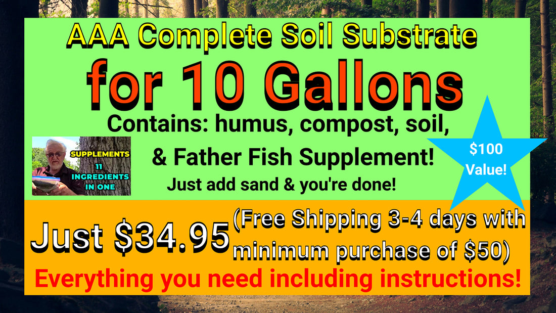 Products – Father Fish Aquarium