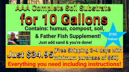 Products – Father Fish Aquarium