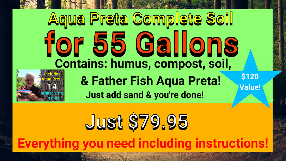 Products – Father Fish Aquarium