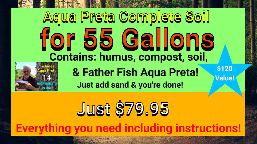 Products – Father Fish Aquarium